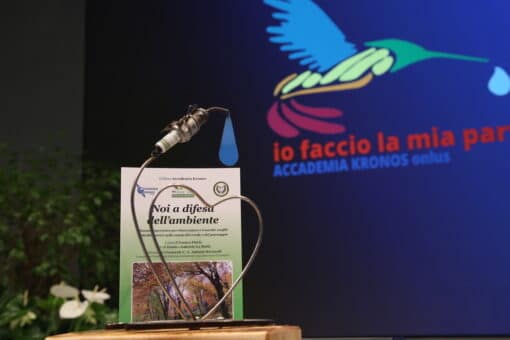 An international award to the Focolare Movement for its commitment ...